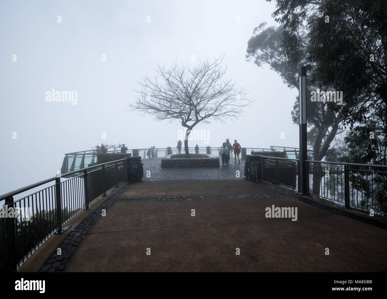 Skywalk and view at Cabo Girao sea cliff in Madiera Stock Photo - Alamy