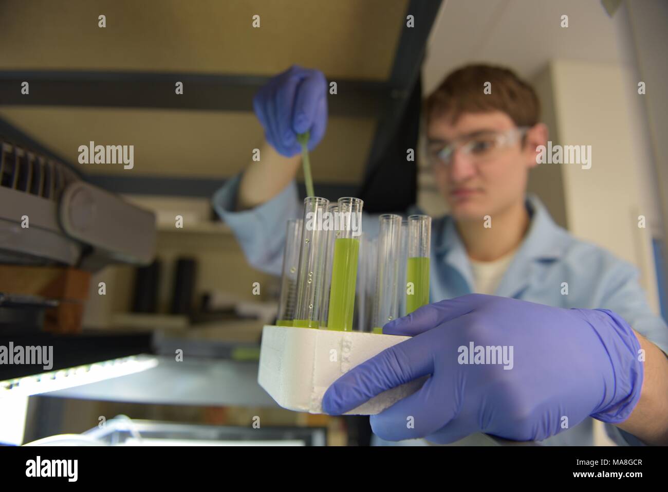 Algae biofuel hi-res stock photography and images - Alamy