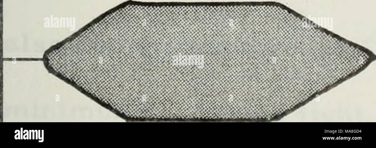 . Ecological aspects of two wood-boring molluscs from the continental ...