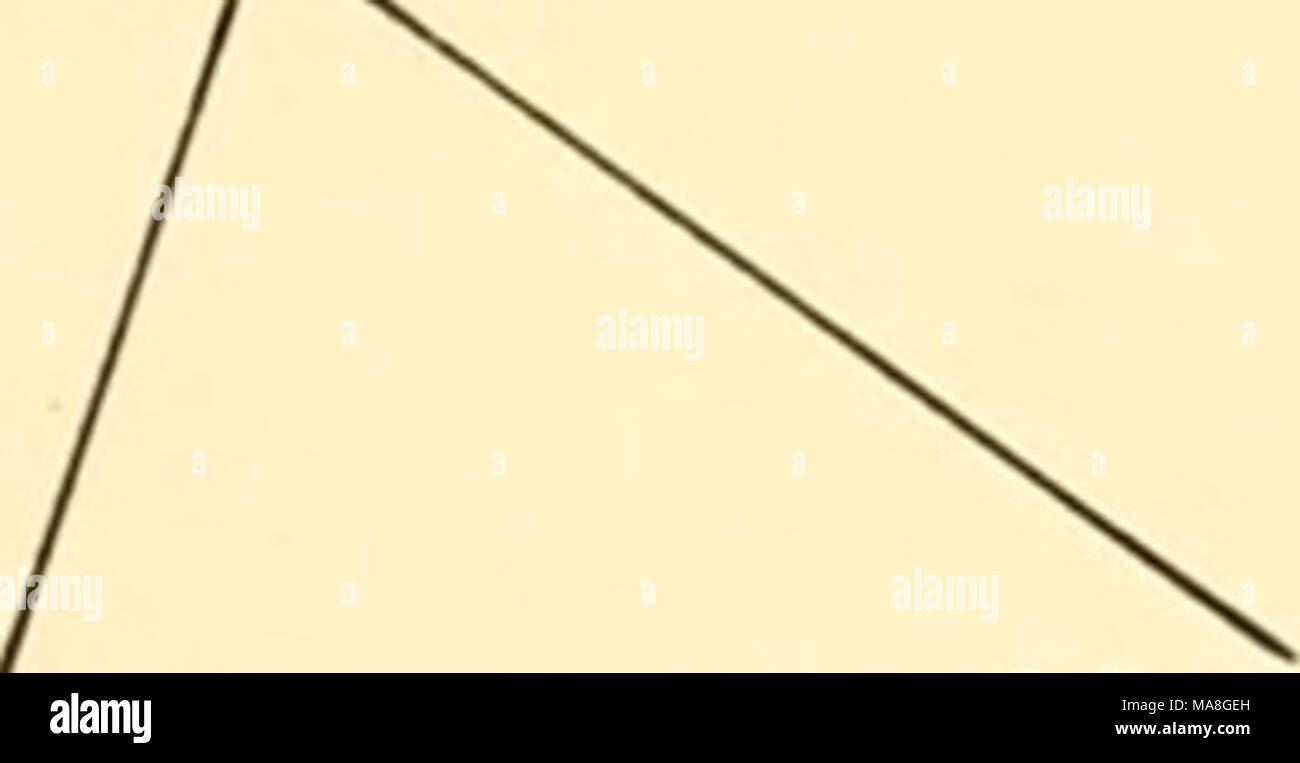 . Ecological animal geography; an authorized, rewritten edition based ...