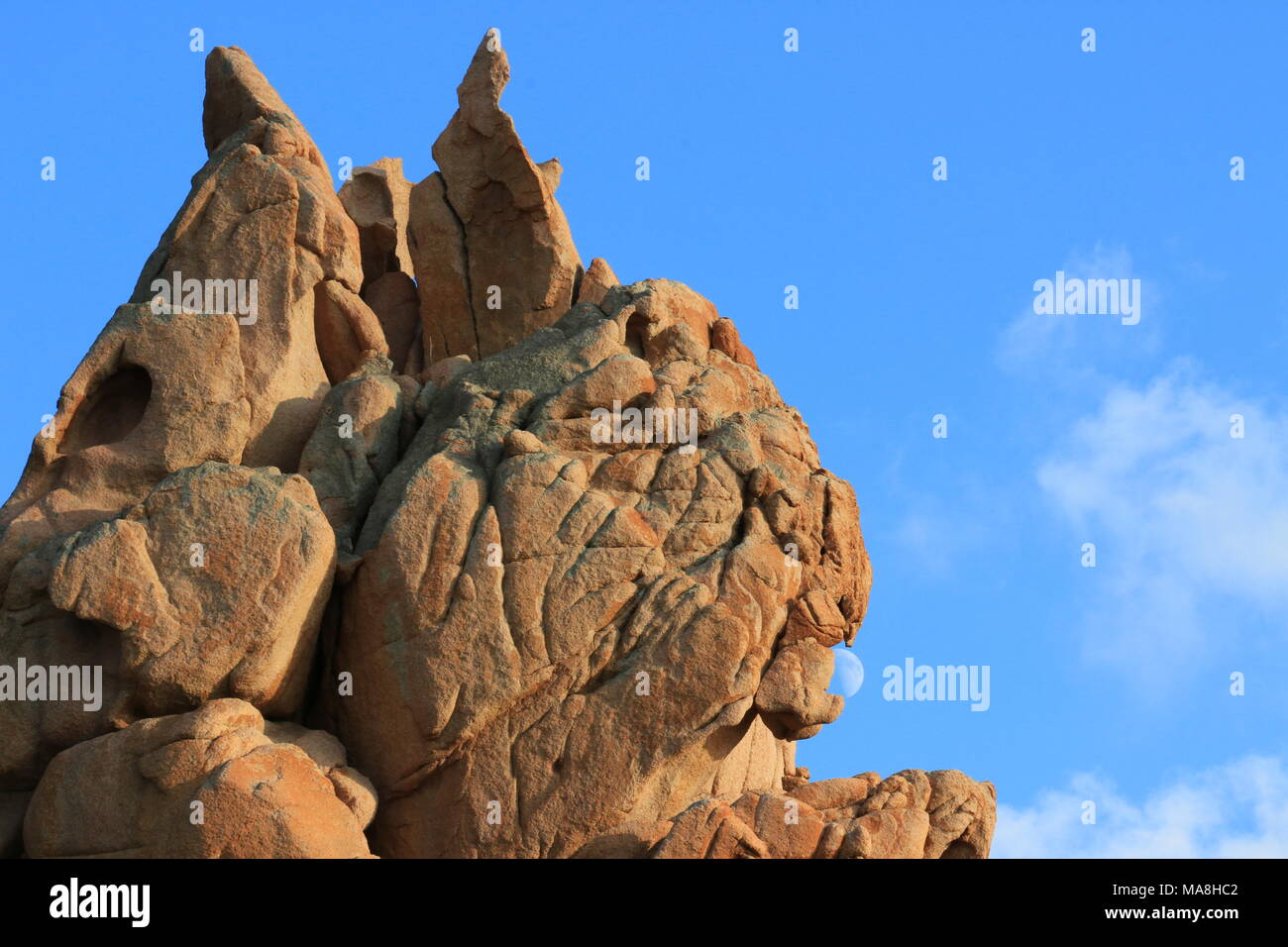 Strange Pictures Of Nature