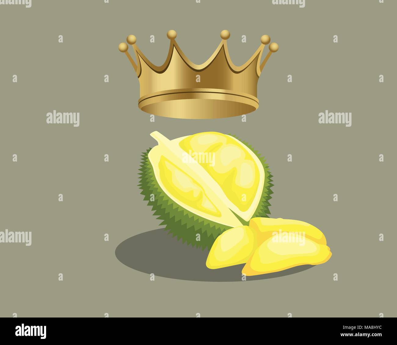 king fruit durian on flat style with king crown on top vector graphic ...
