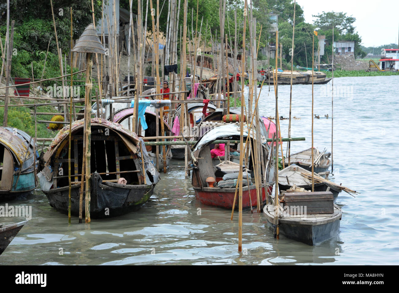 Water gypsy hi-res stock photography and images - Alamy