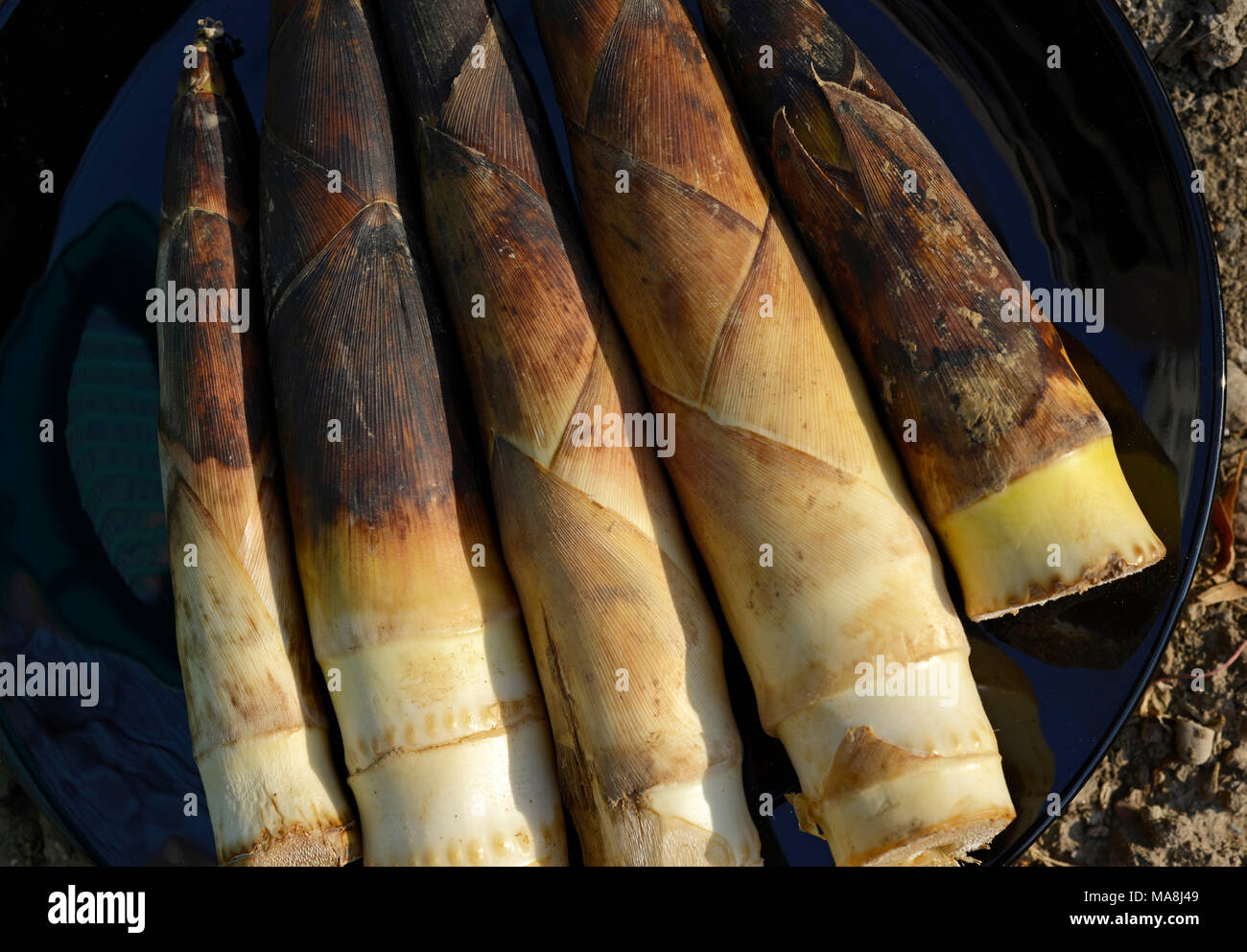 Fresh bamboo shoots bought at the vegetable market in Beijing, China ...