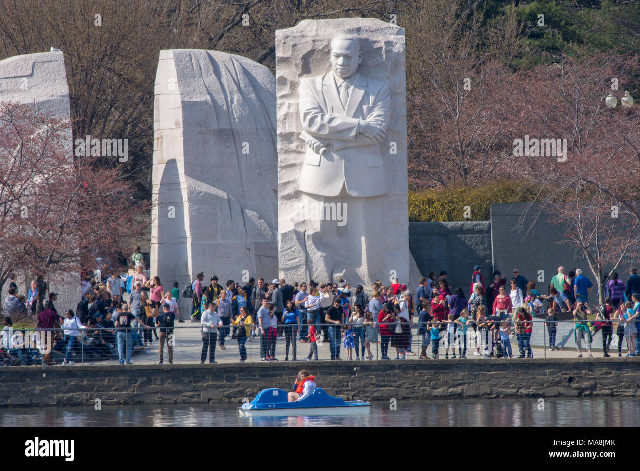 Tidal basin paddle boats hi-res stock photography and images - Alamy