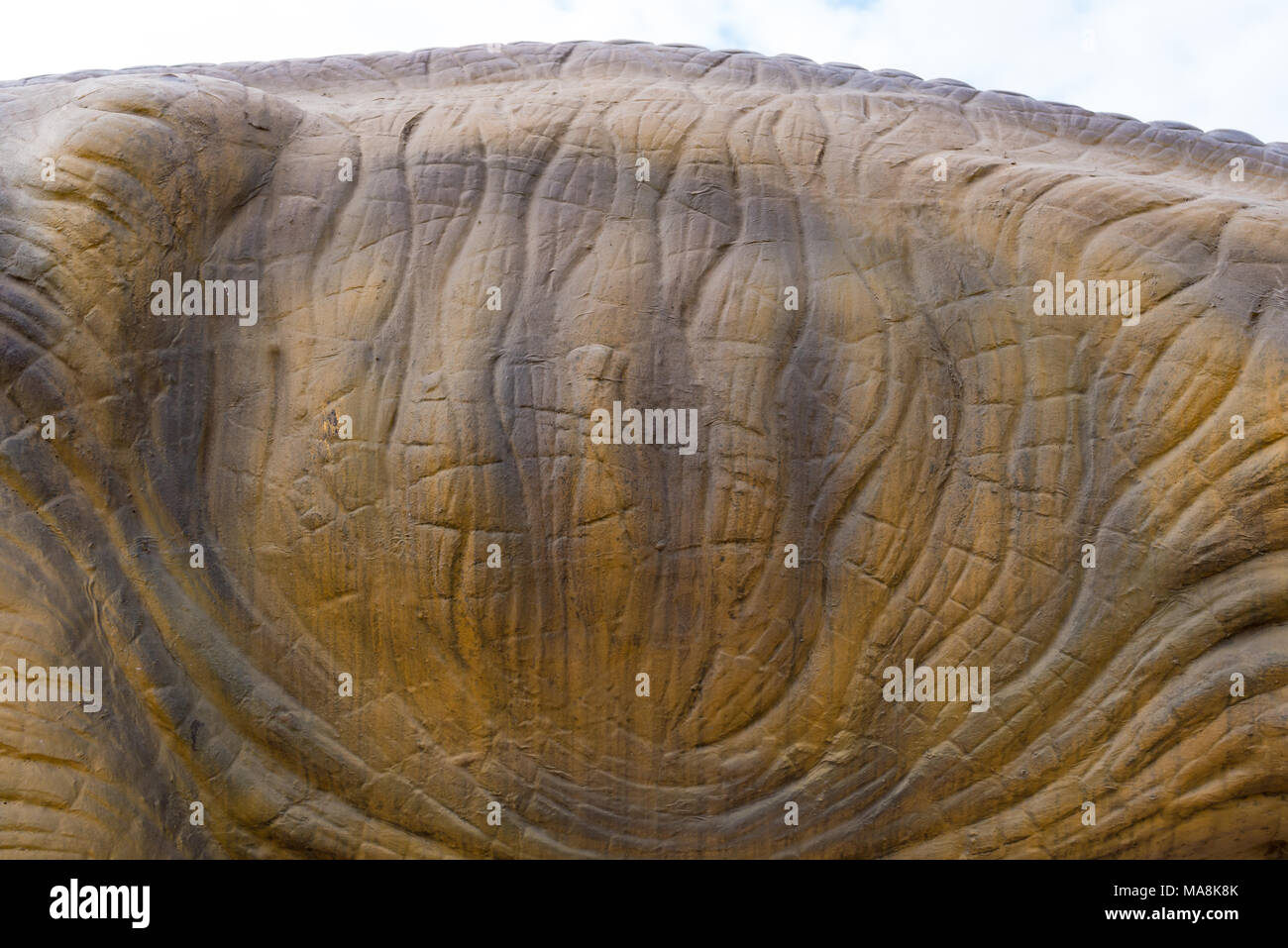 dinosaur body as background Stock Photo - Alamy