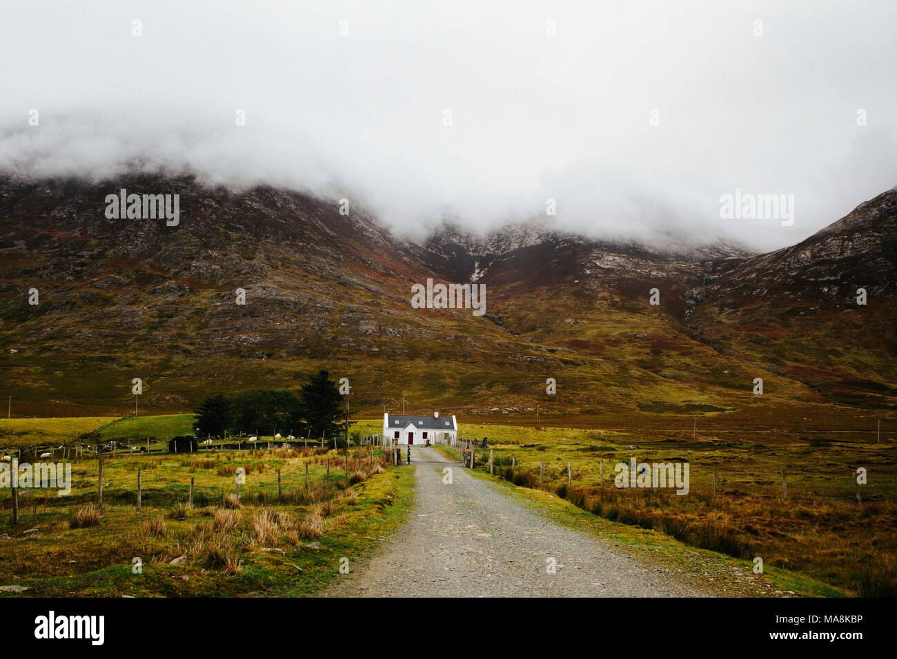 The connemara giant hi-res stock photography and images - Alamy