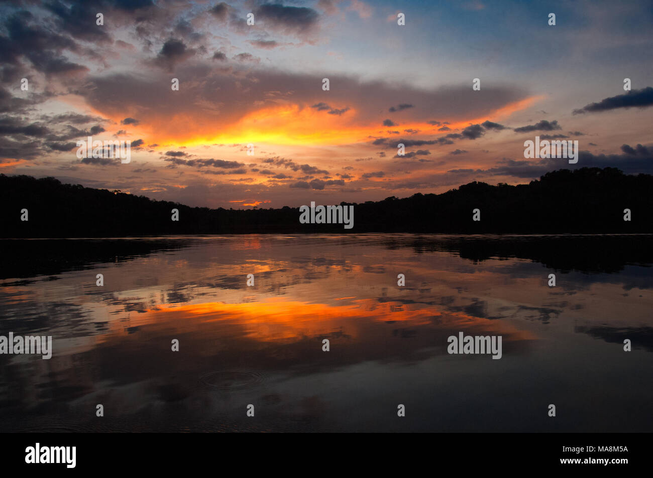 Amazon river sunset hi-res stock photography and images - Alamy