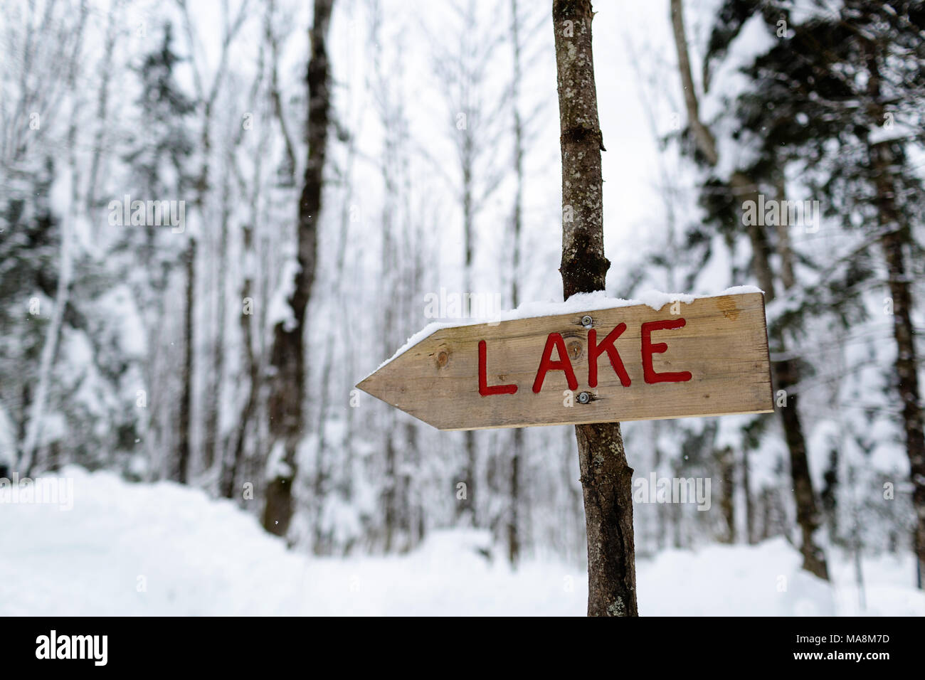 wooden direction sign to a lake, hung on a tree Stock Photo - Alamy