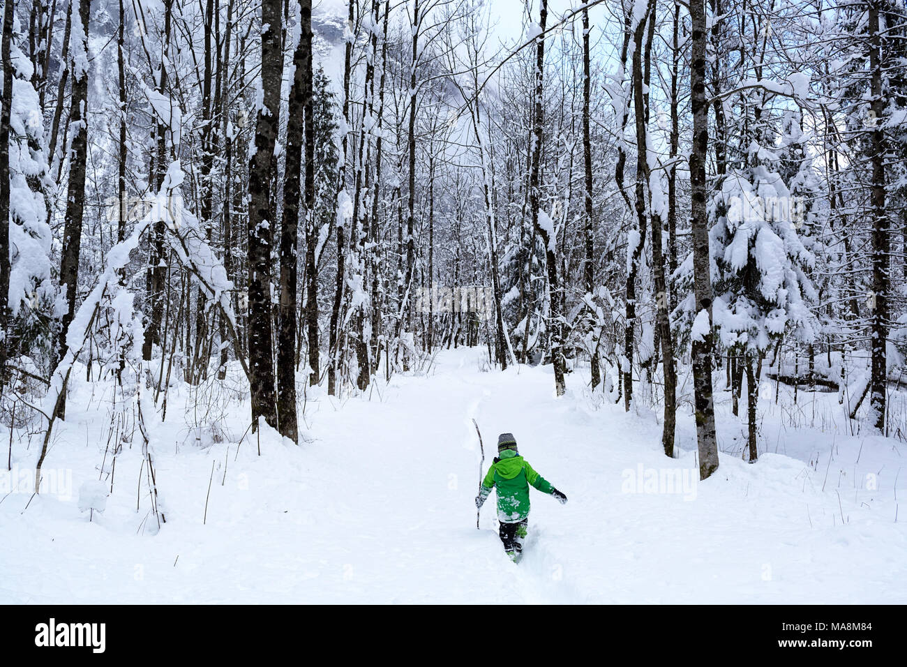 Child walking through snow and trees Stock Photo - Alamy