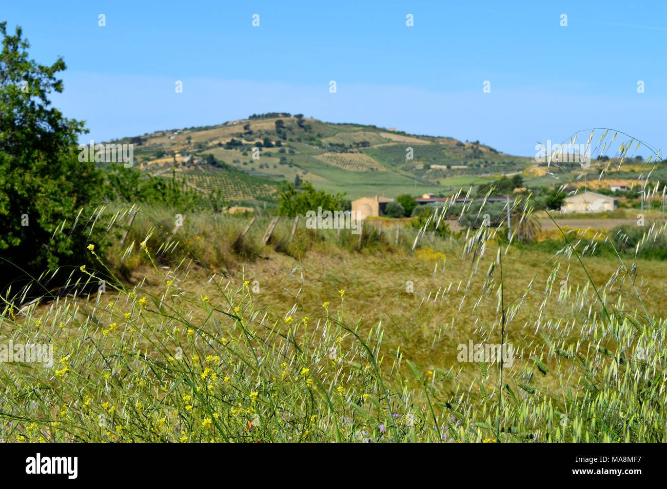 Sicilian countryside hi-res stock photography and images - Alamy