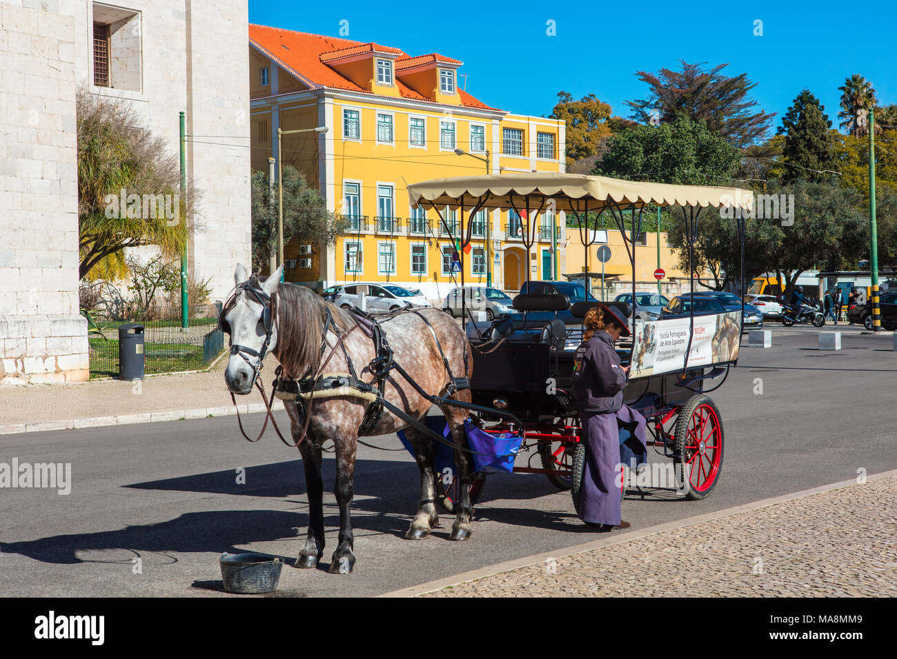 Horse pony drawn carriage hi-res stock photography and images - Alamy