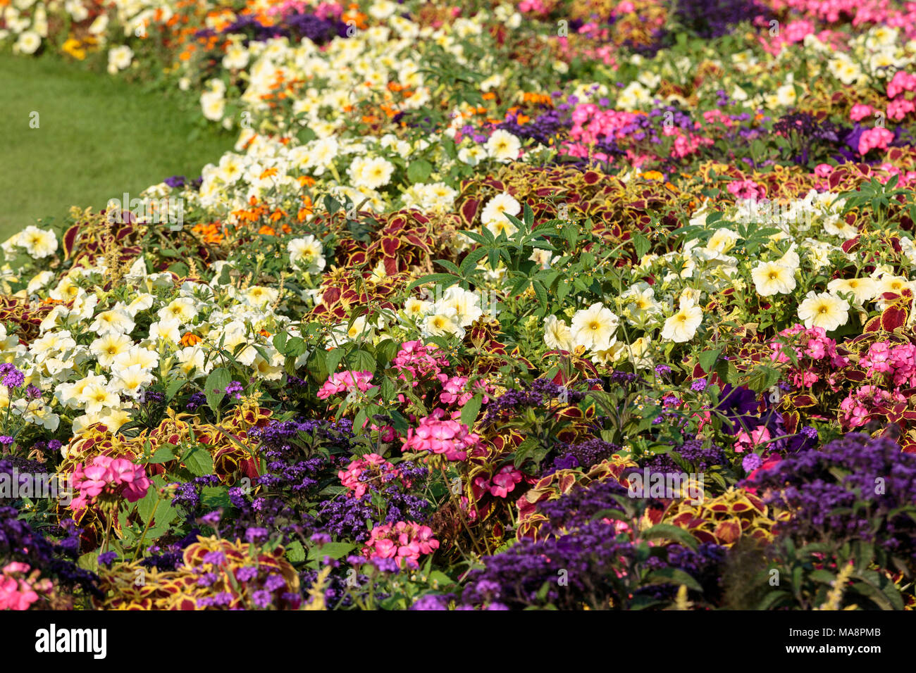 Flowerbed full of flowers in Luxembourg garden, Paris , France Stock ...