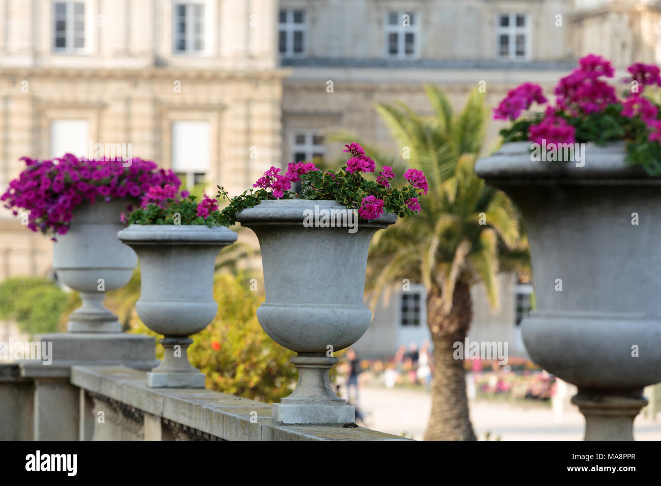 Flowerbed full of flowers in Luxembourg garden, Paris , France Stock ...