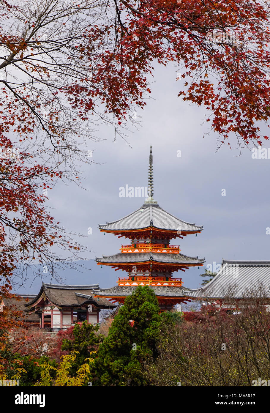 Part of Kiyomizu Temple with autumn forest in Kyoto, Japan Stock Photo ...