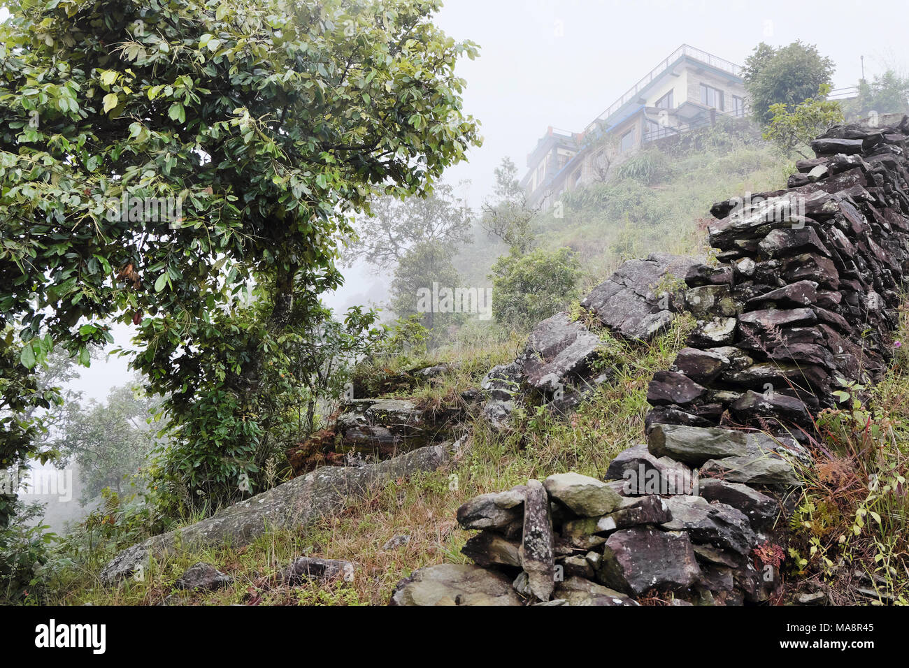 Fog wall hi-res stock photography and images - Alamy
