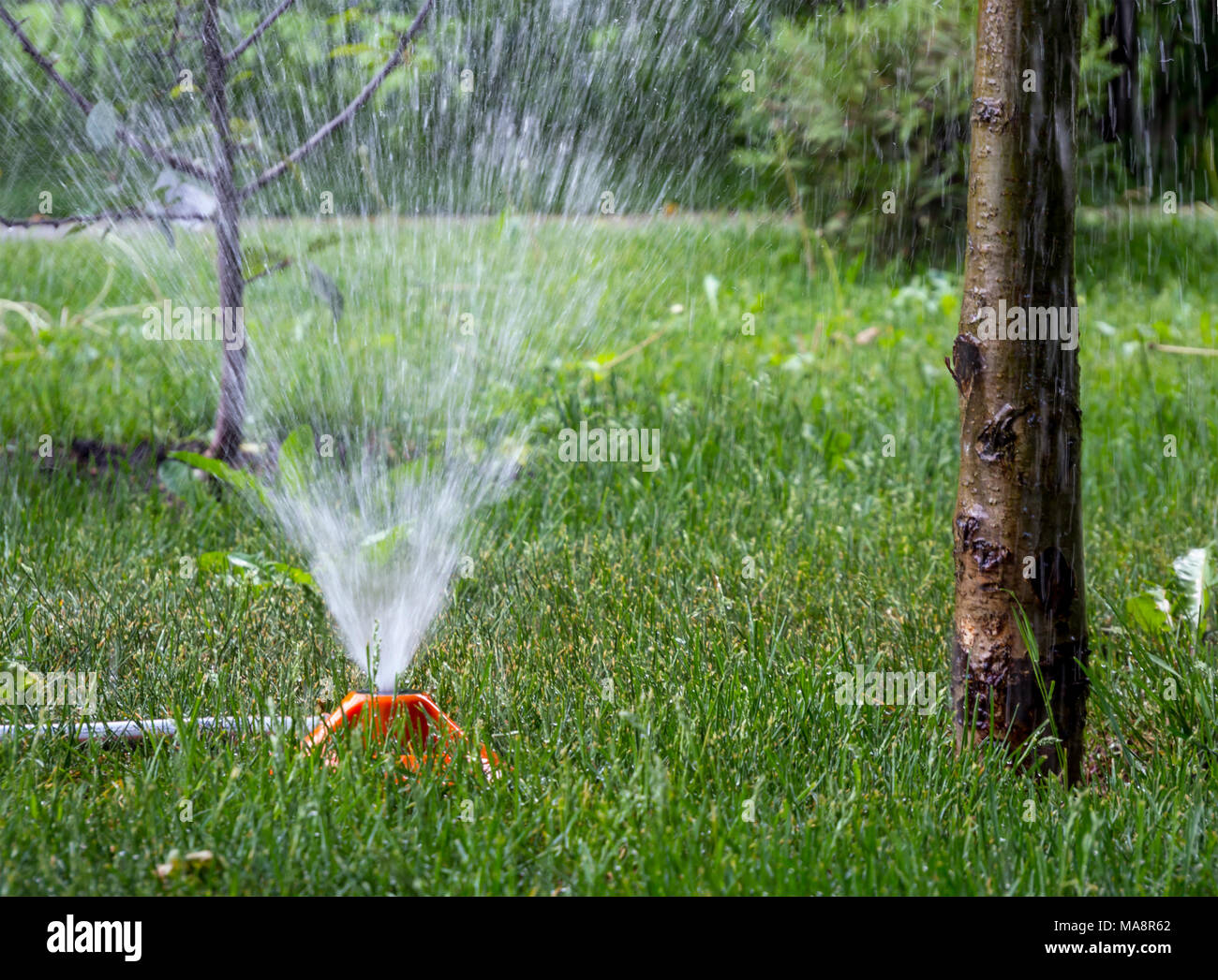 Operation of the irrigation system in the park Stock Photo - Alamy