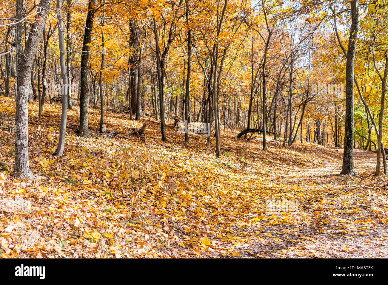 Fairytale ferry hi-res stock photography and images - Alamy