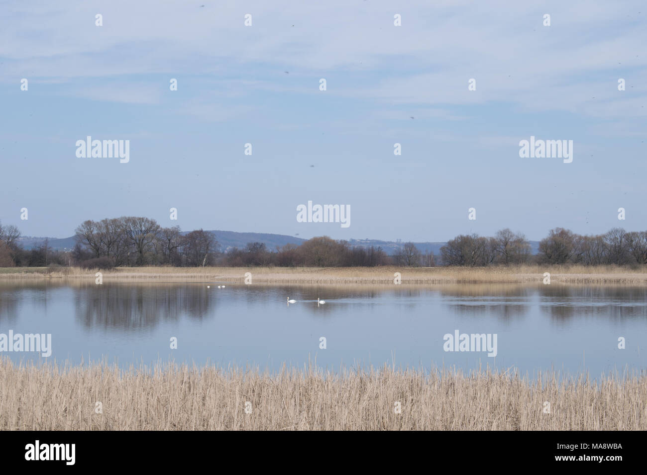 spring lake. Natura 2000 Poland Stock Photo - Alamy