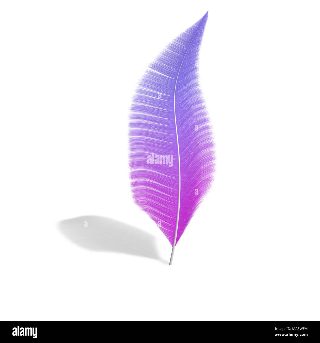 One feather on a white isolated background. 3D illustration Stock Photo ...