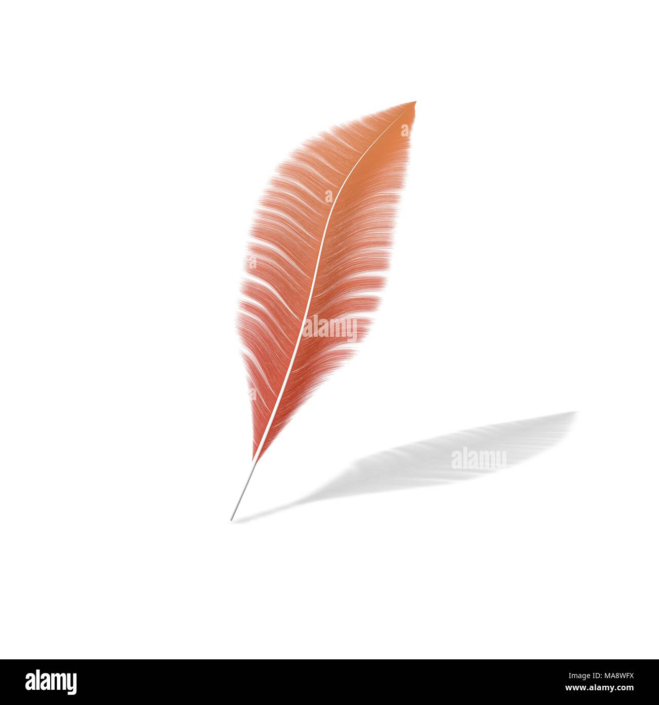 One feather on a white isolated background. 3D illustration Stock Photo ...