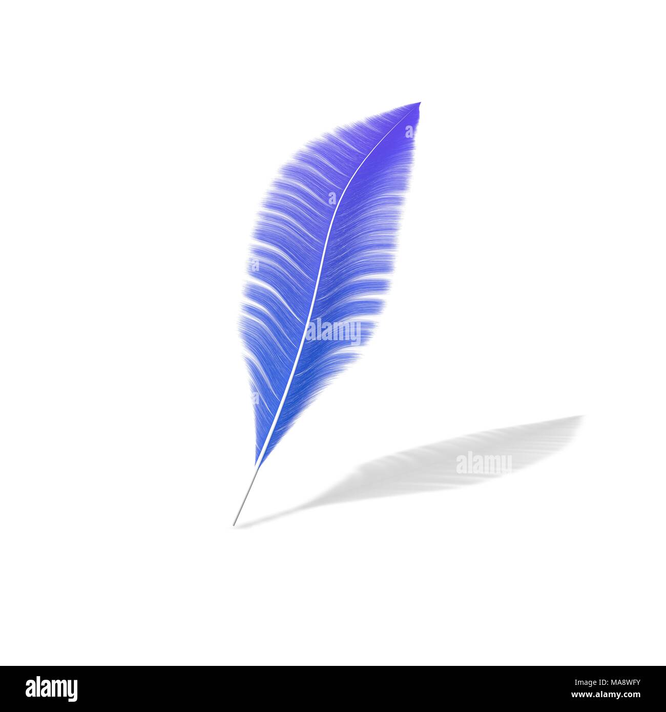 One feather on a white isolated background. 3D illustration Stock Photo ...
