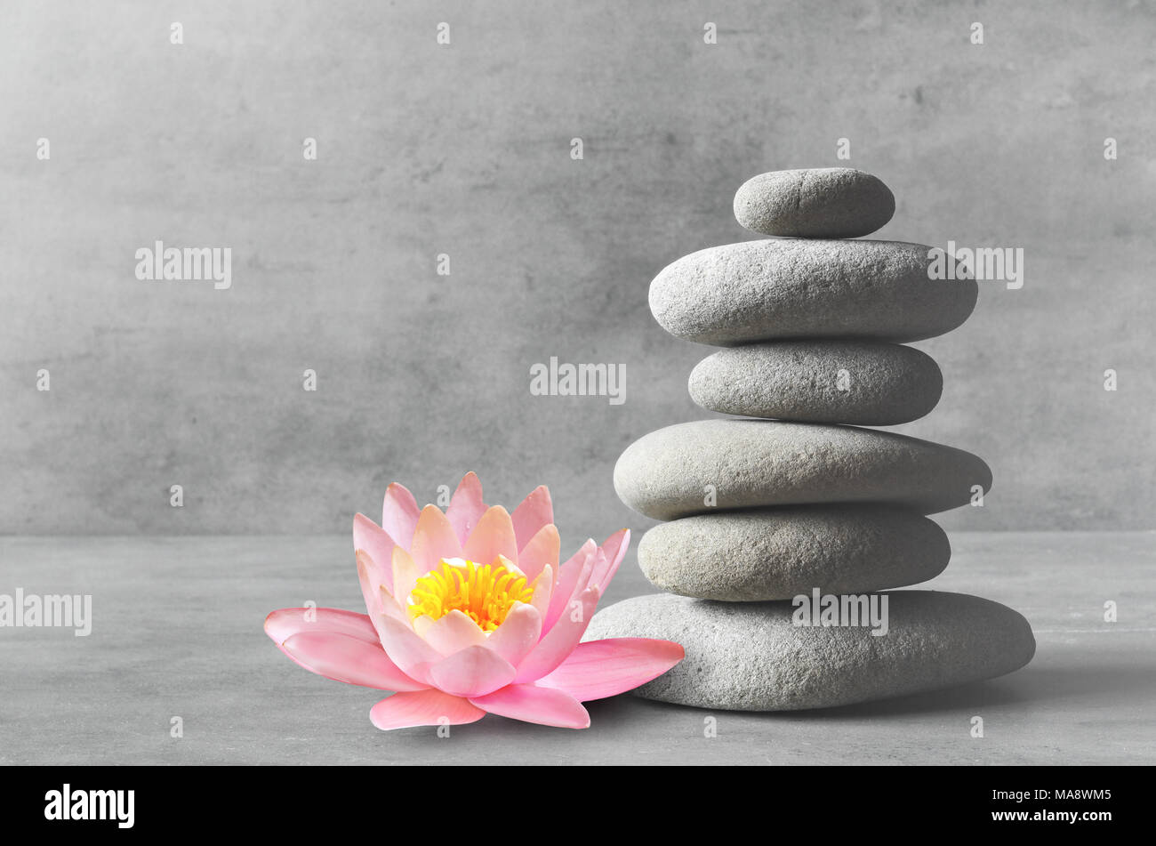 Stones and pink flower lotus balance. Zen and spa concept Stock Photo ...
