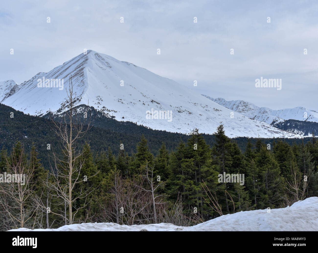 Snow Capped Peaks in the Spring in Alaska Stock Photo - Alamy