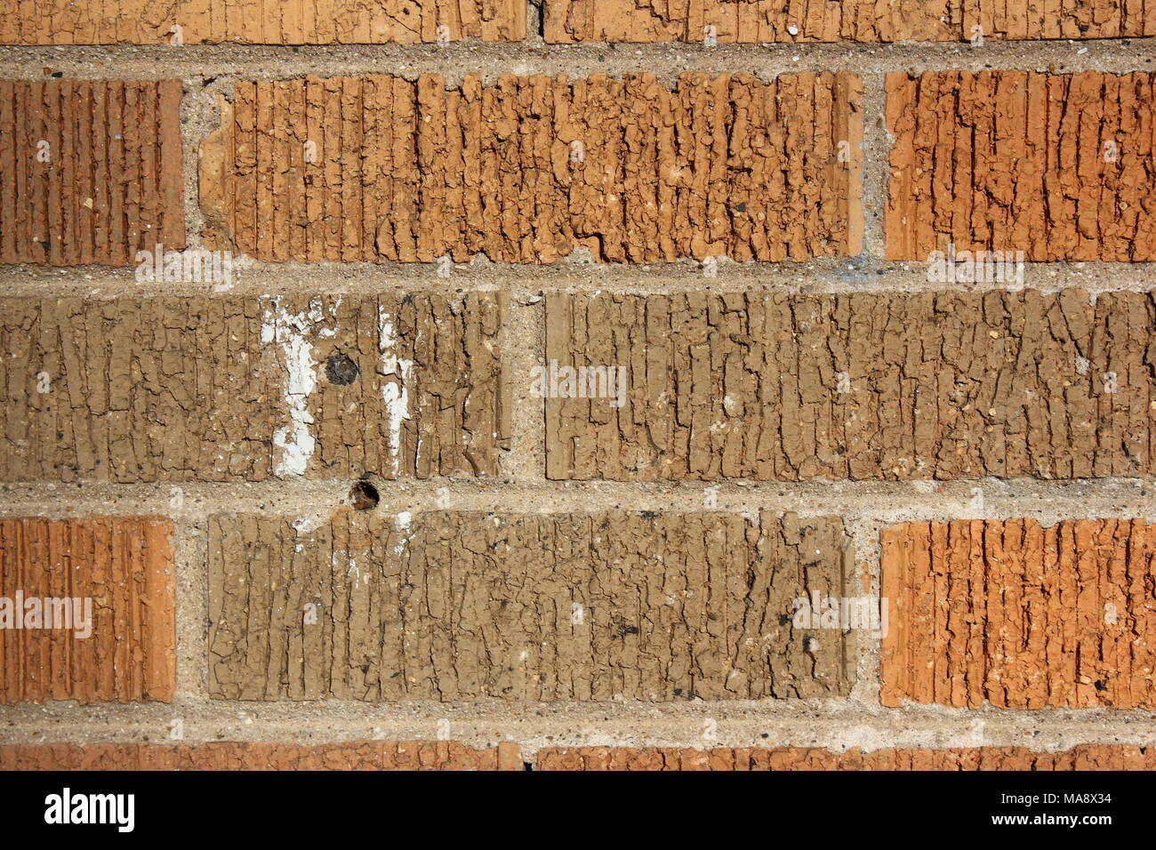 Chicago common architectural and structural brick with apricot color ...