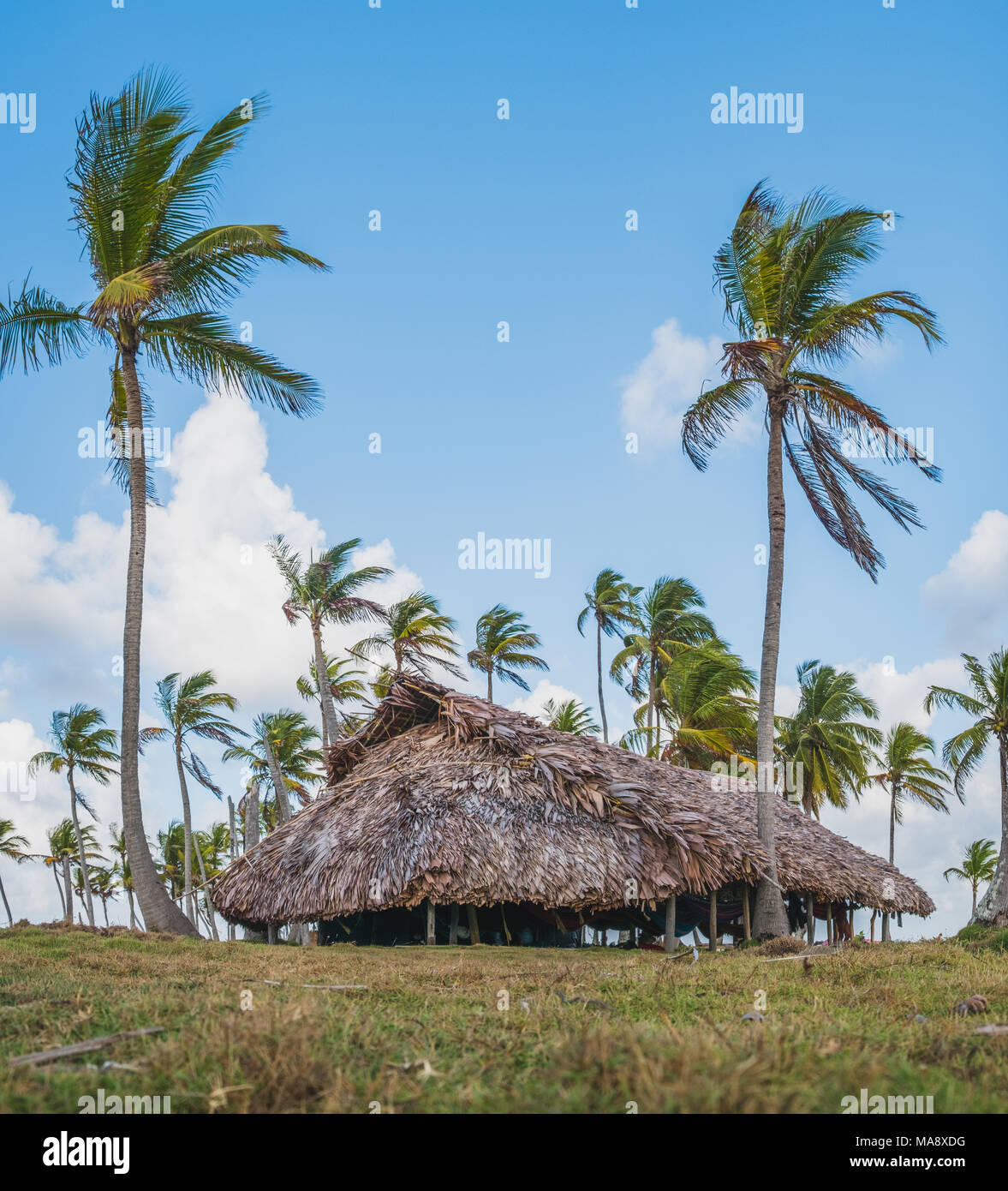 house , bungalow with thatch roof on palm tree island Stock Photo - Alamy