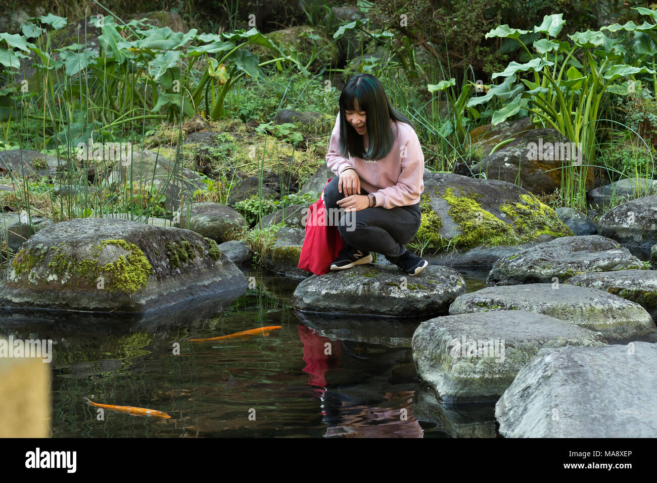 Asian girl sitting by the pond hi-res stock photography and images - Alamy