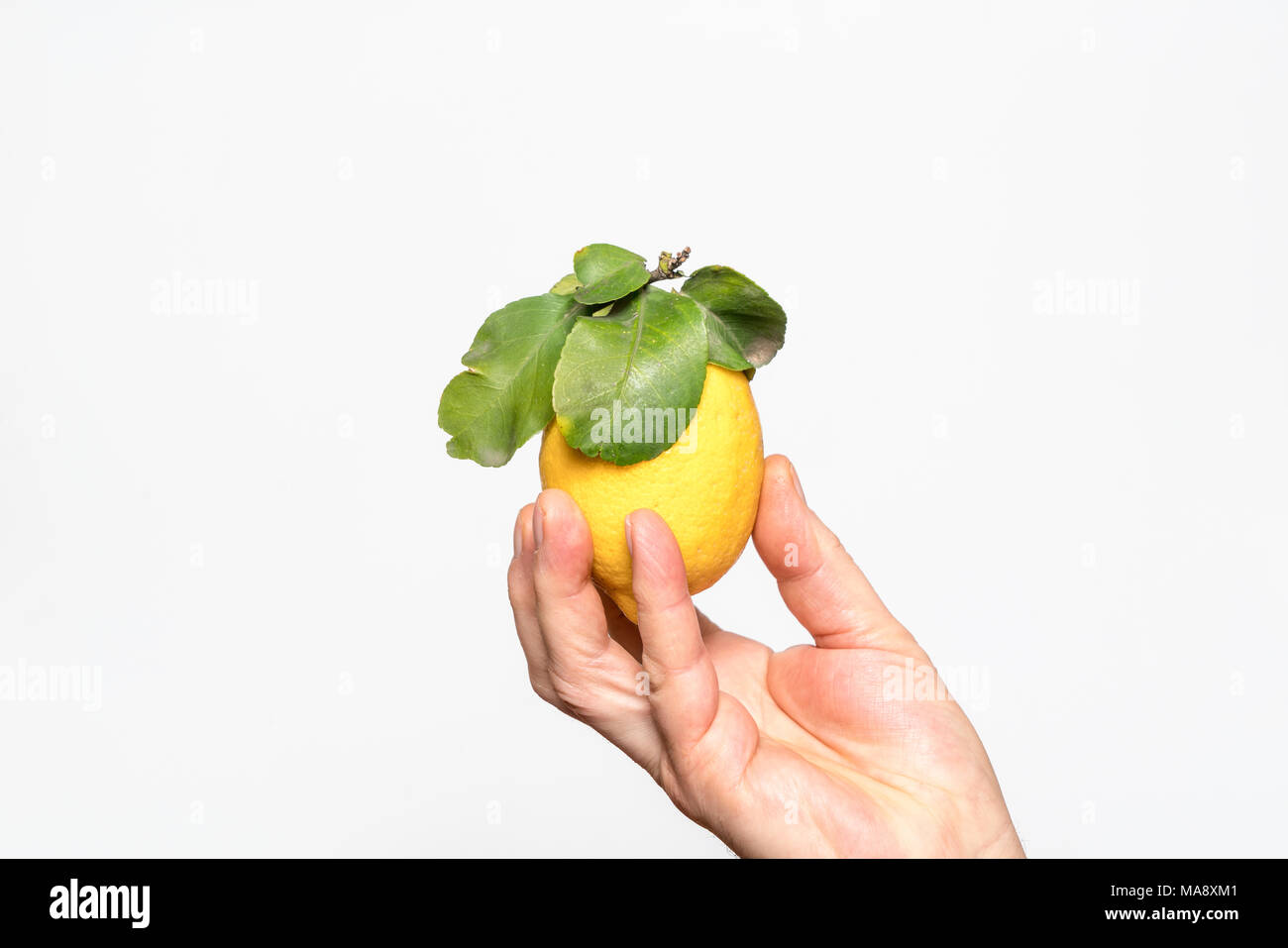 Vector one hand in hi-res stock photography and images - Alamy