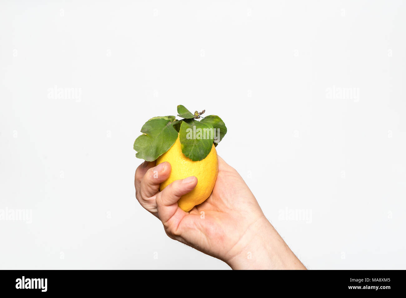 Lemon slice fruit vector hi-res stock photography and images - Alamy