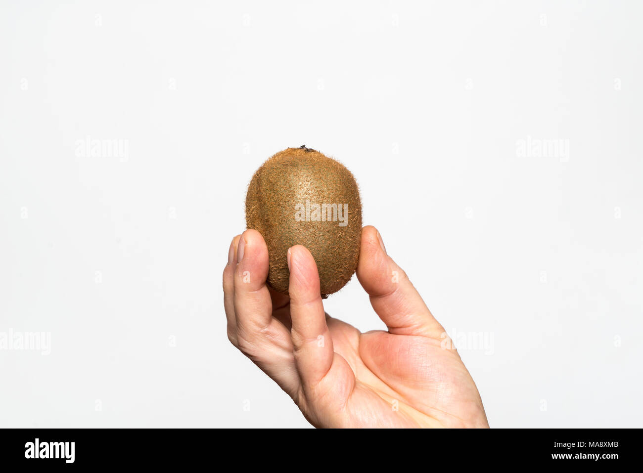 A kiwi held in a hand Stock Photo - Alamy