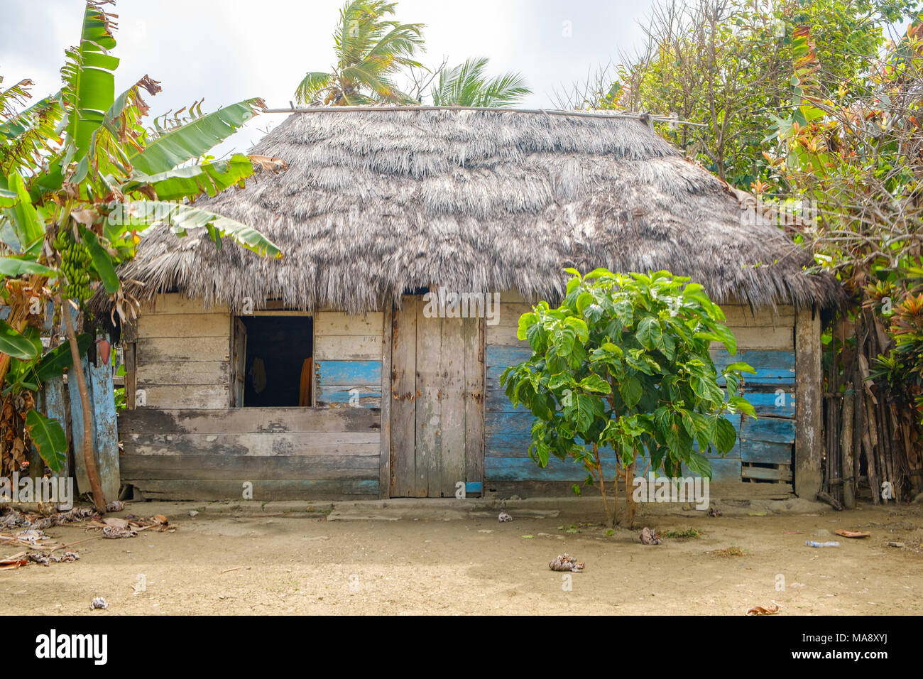 wooden house , rural bungalow with thatch roof , Colombia Stock Photo ...
