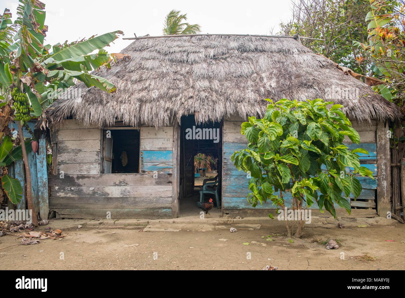 wooden house , rural bungalow with thatch roof , Colombia Stock Photo ...