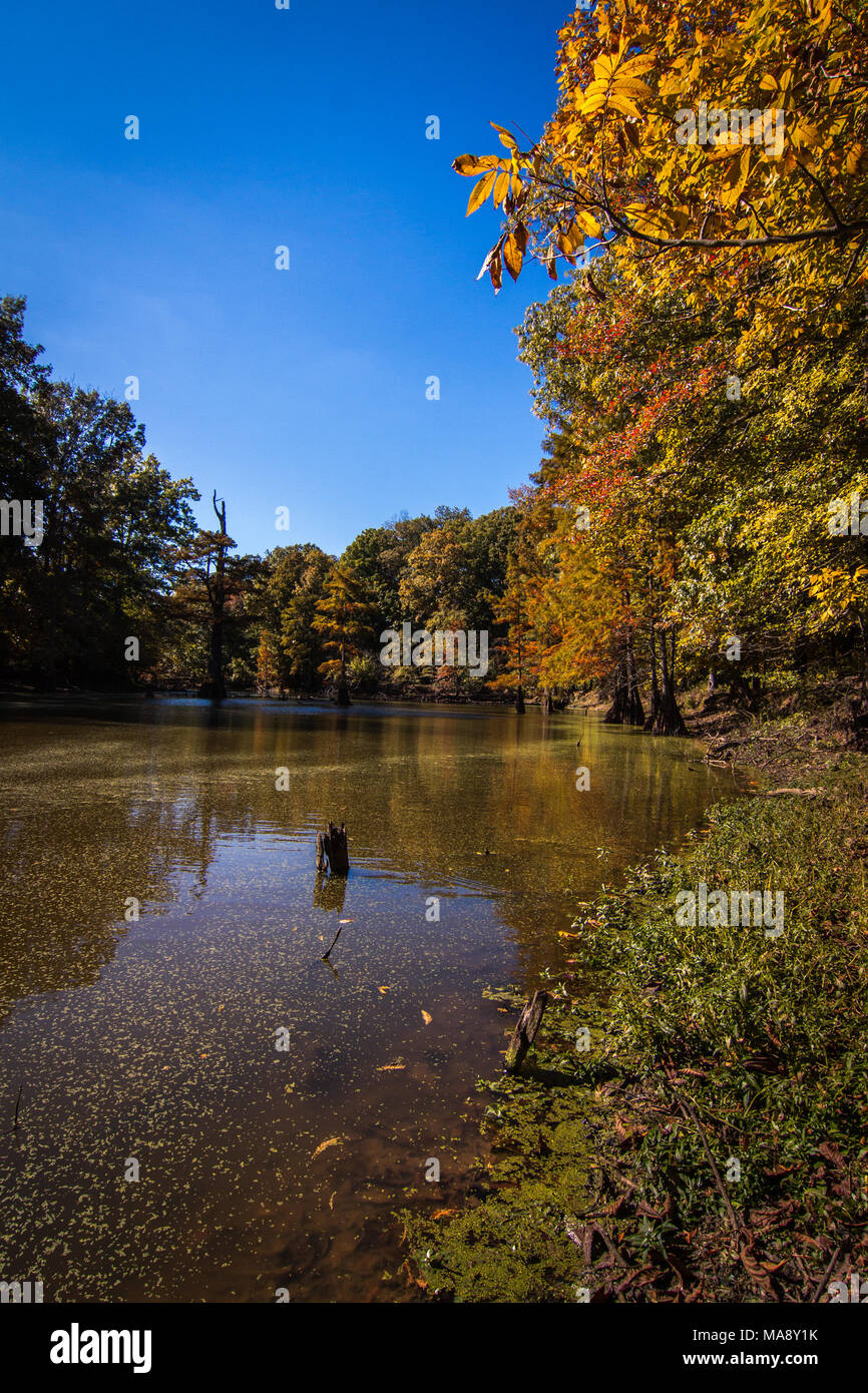 Mingo Swamp High Resolution Stock Photography and Images - Alamy