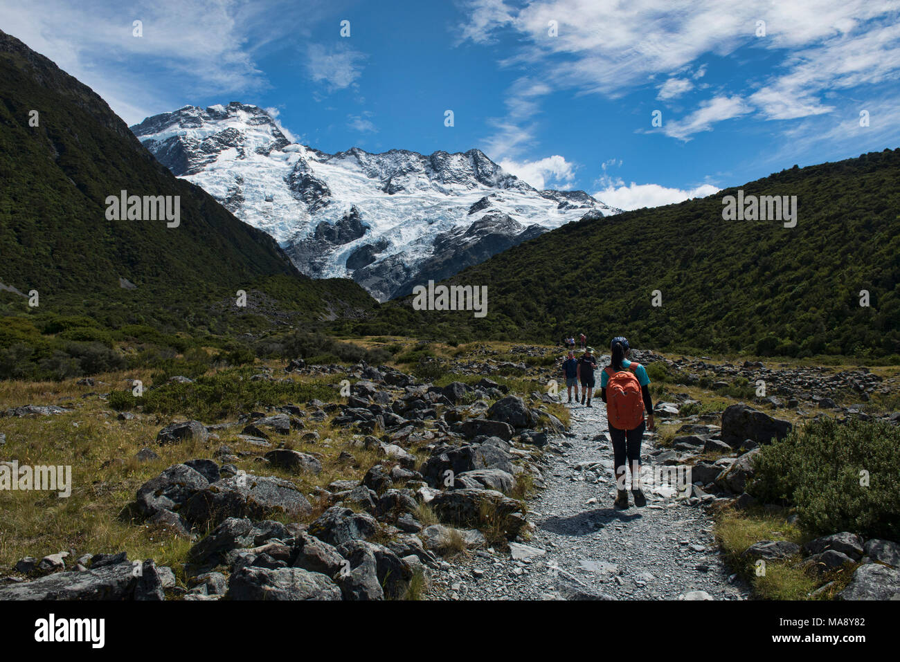 Trekking the Mueller Hut Track, Southern Alps, New Zealand Stock Photo ...