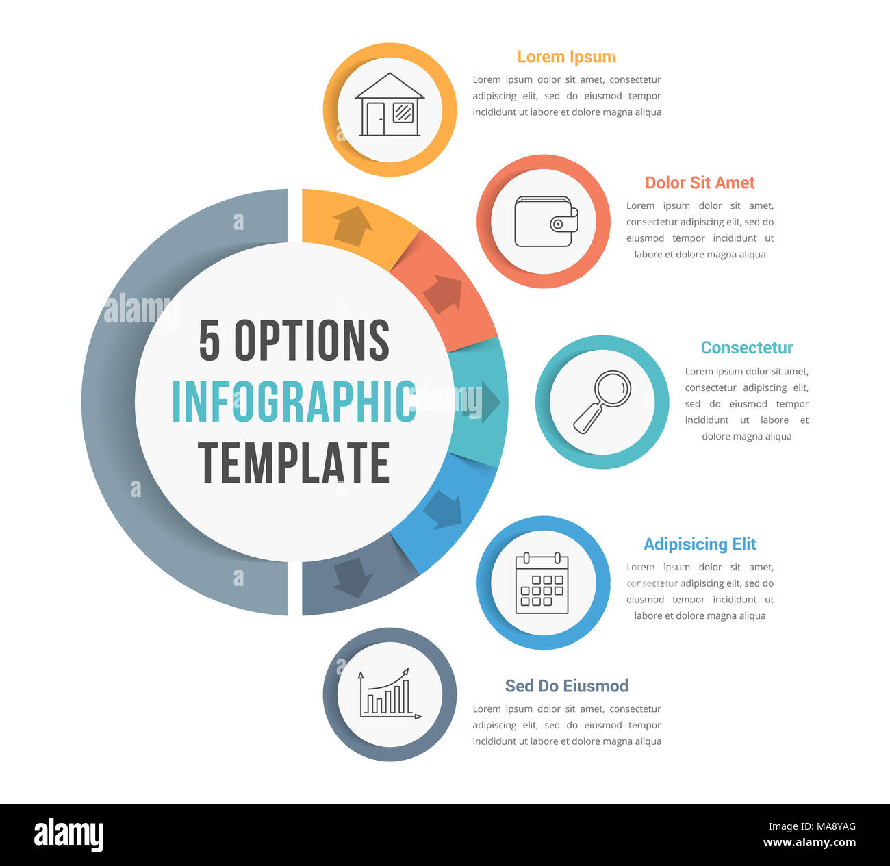 5 part circle infographic hi-res stock photography and images - Alamy