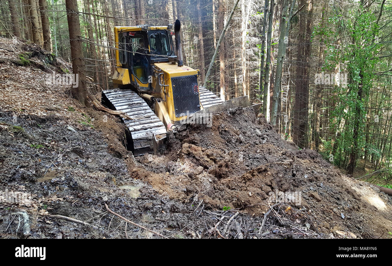 The bulldozer makes way in the forest Stock Photo - Alamy