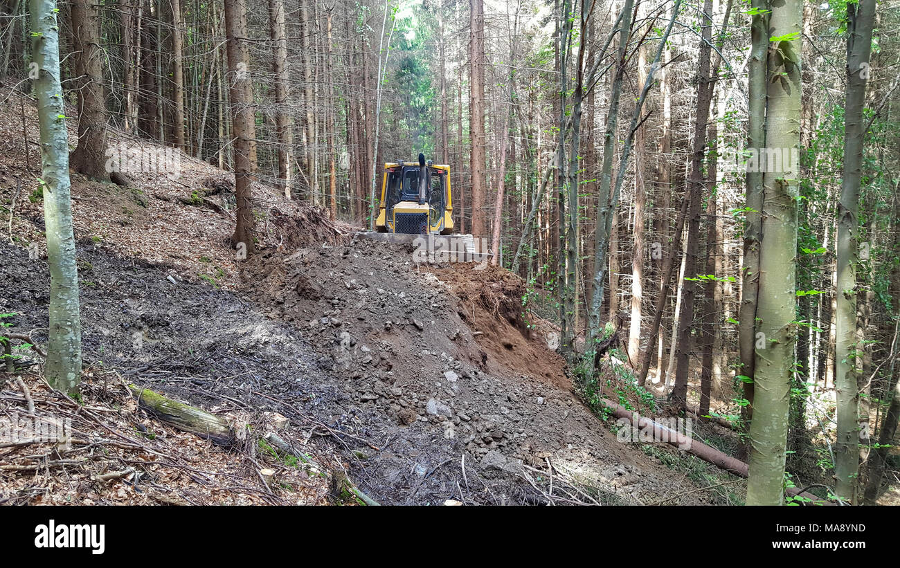 The bulldozer makes way in the forest Stock Photo - Alamy