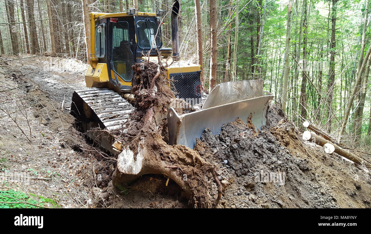 The bulldozer makes way in the forest Stock Photo - Alamy