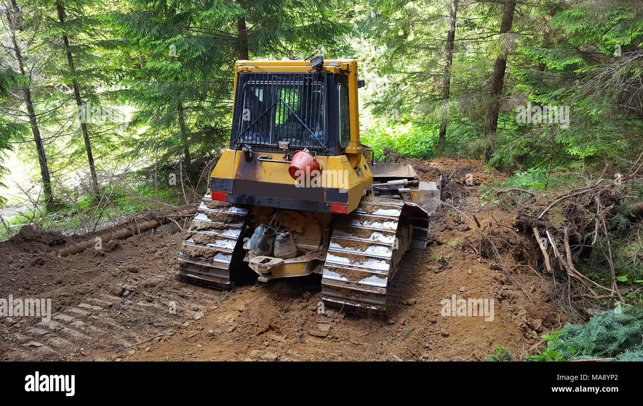 The bulldozer makes way in the forest Stock Photo - Alamy