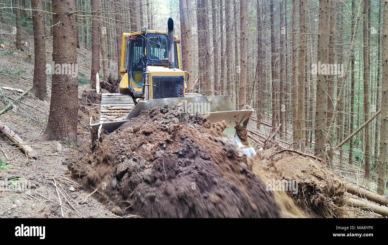 The bulldozer makes way in the forest Stock Photo - Alamy