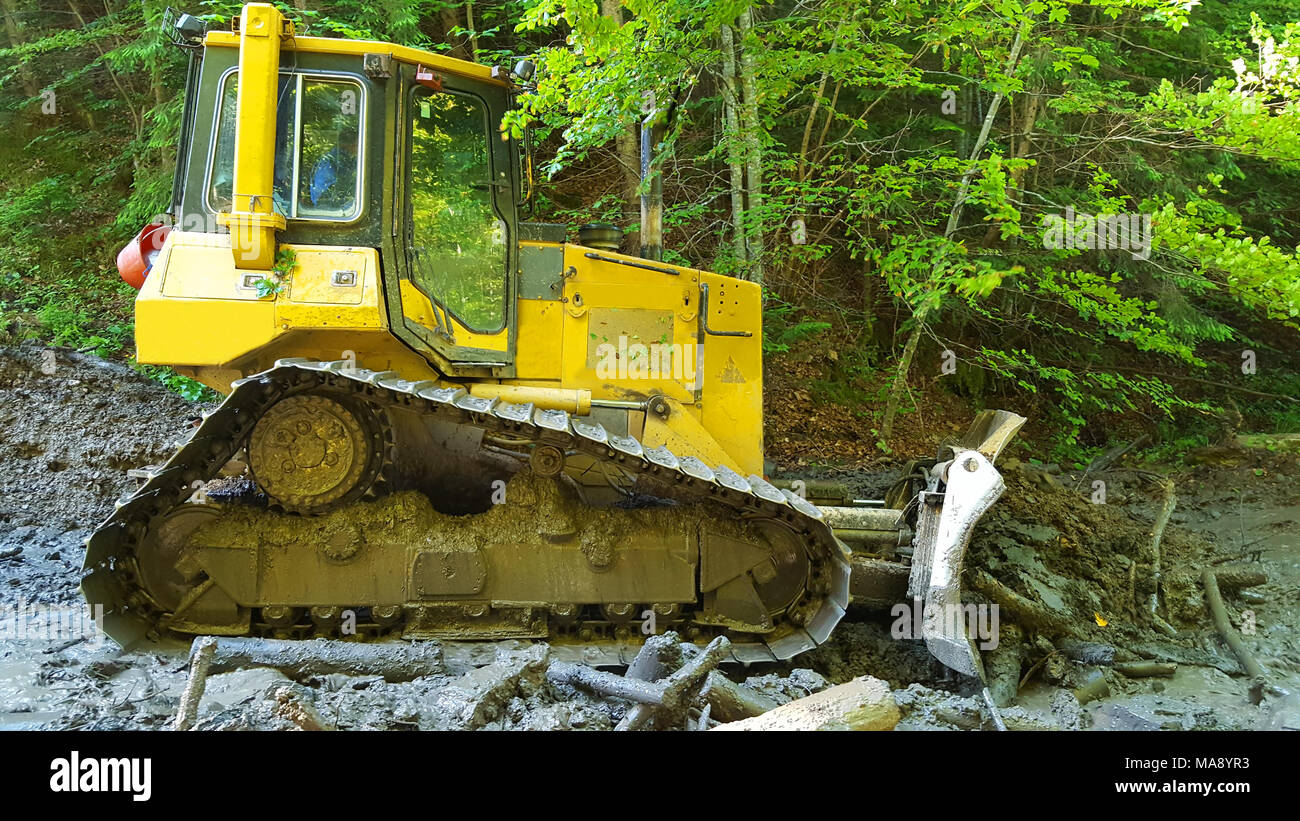 The bulldozer makes way in the forest Stock Photo - Alamy