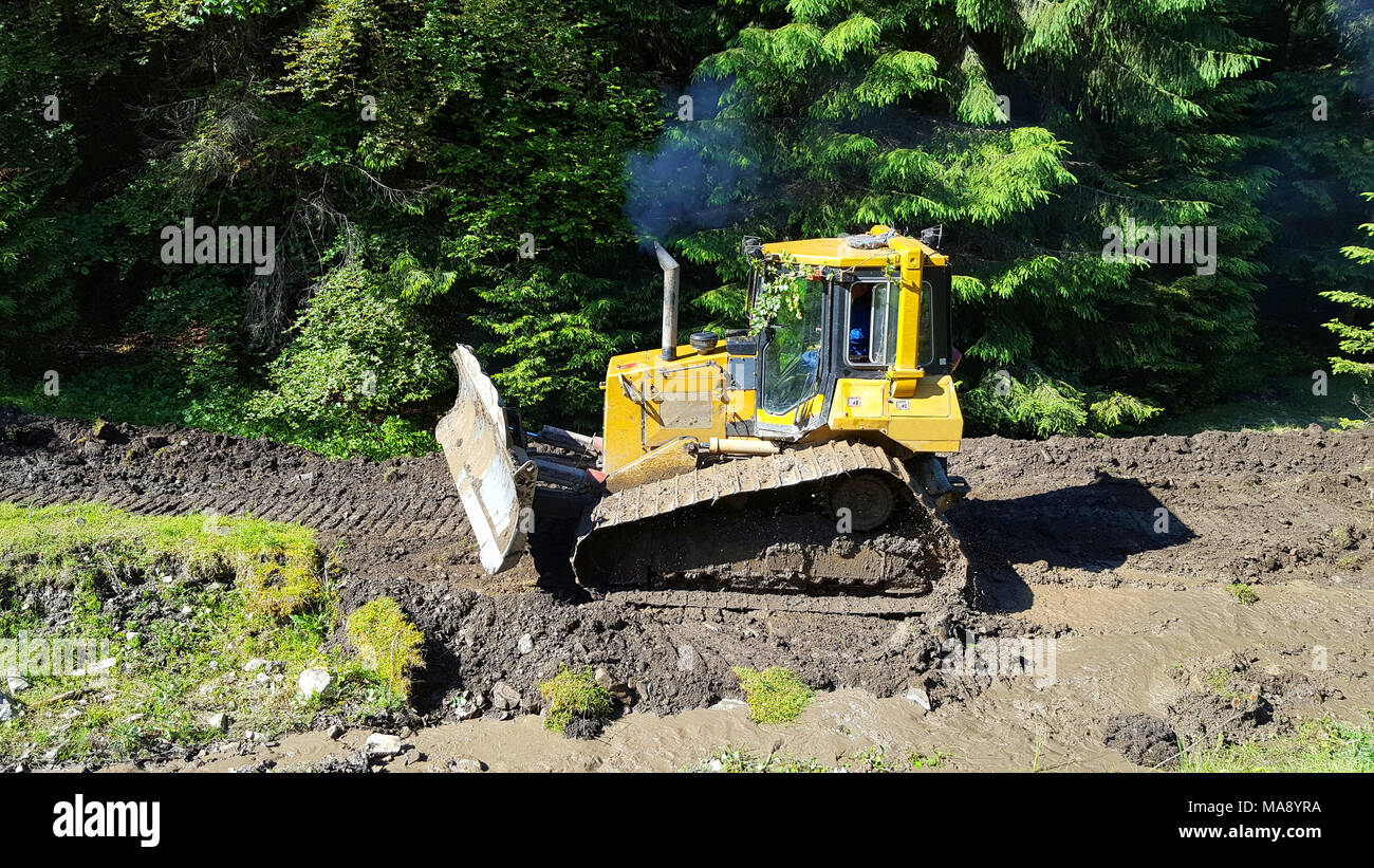 The bulldozer makes way in the forest Stock Photo - Alamy