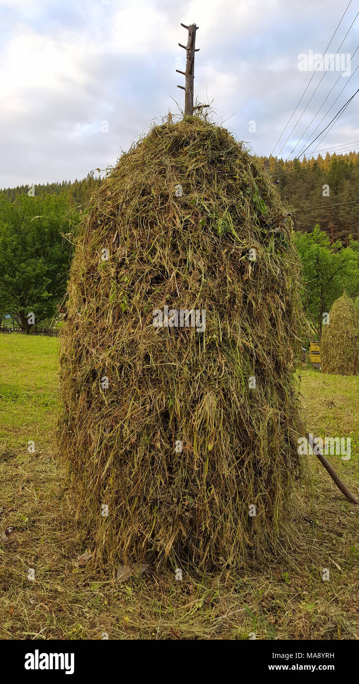Pile of hay Stock Photo - Alamy