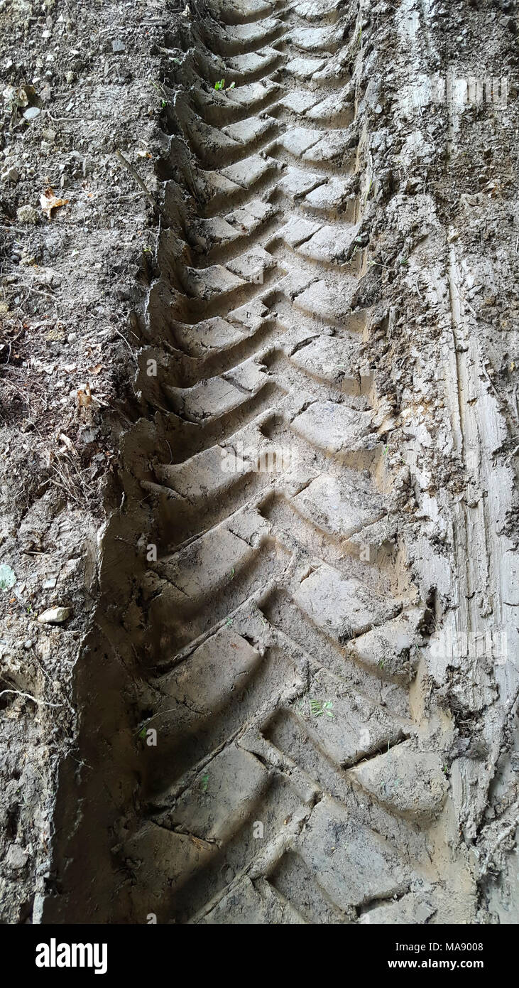 Tyre Tracks On Muddy Field Stock Photos & Tyre Tracks On Muddy Field ...