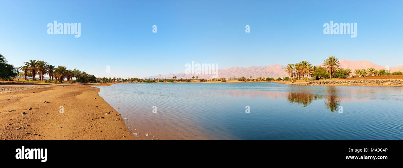 Panoramic view of idyllic oasis in the south of Israel. Shore of the ...