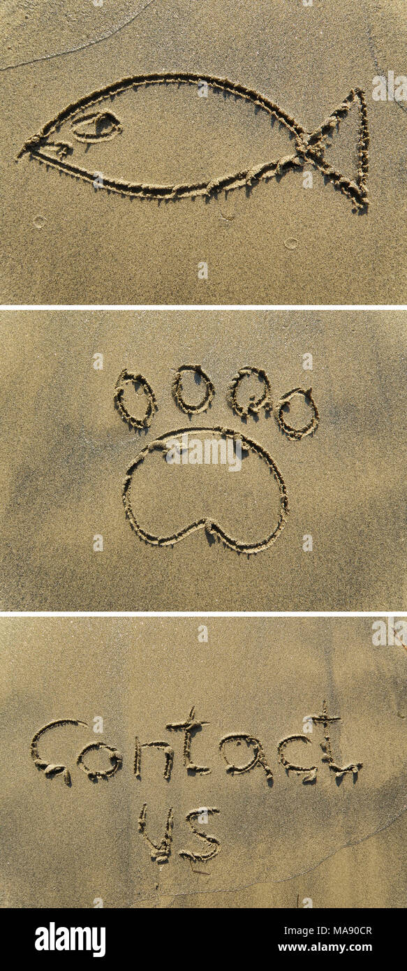 Fish, paw print and contact us drawing on sand Stock Photo - Alamy